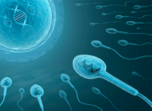 Best IMSI Fertility Treatment in Surat, Gujarat| Candor IVF Center