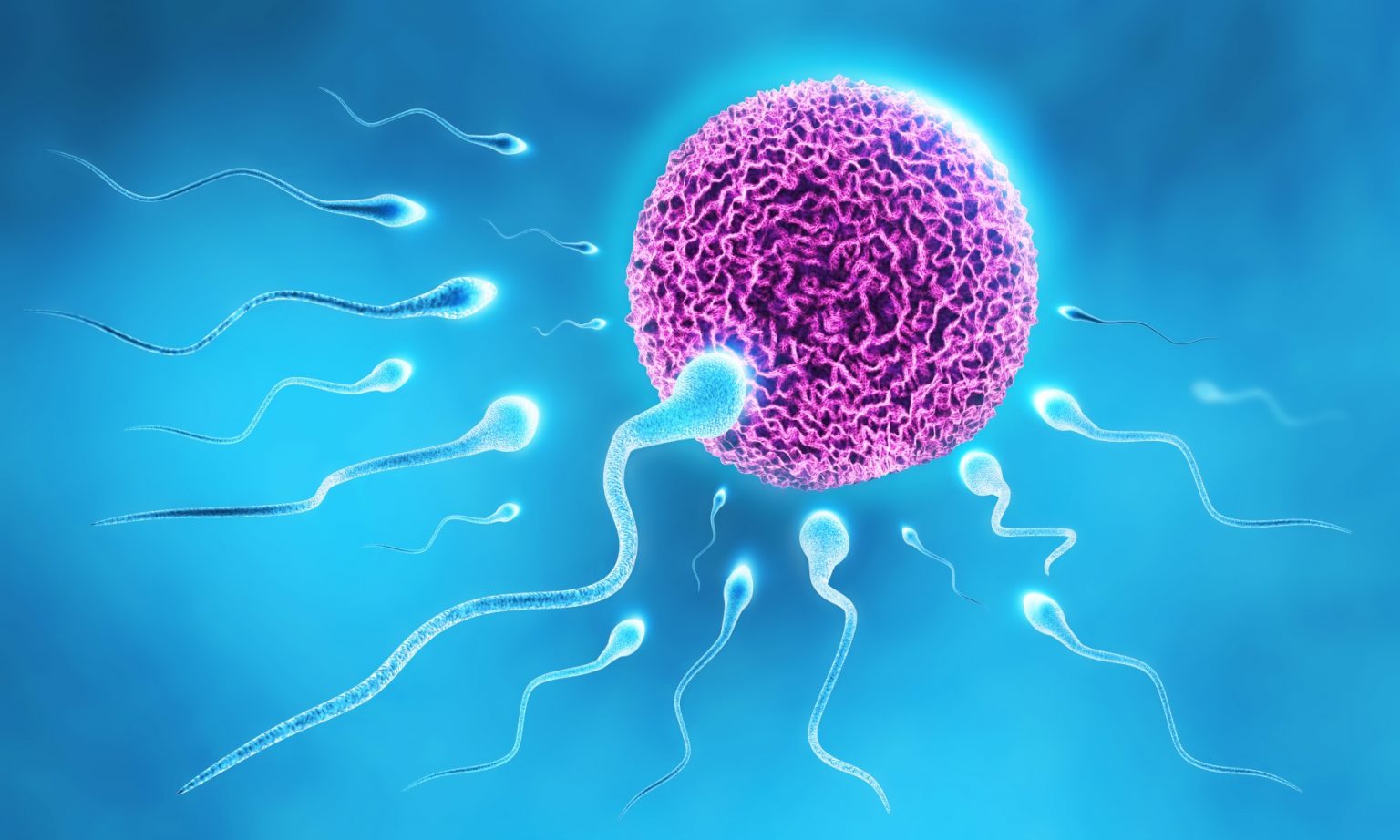 Ovulation Induction Protocols | Candor IVF Center